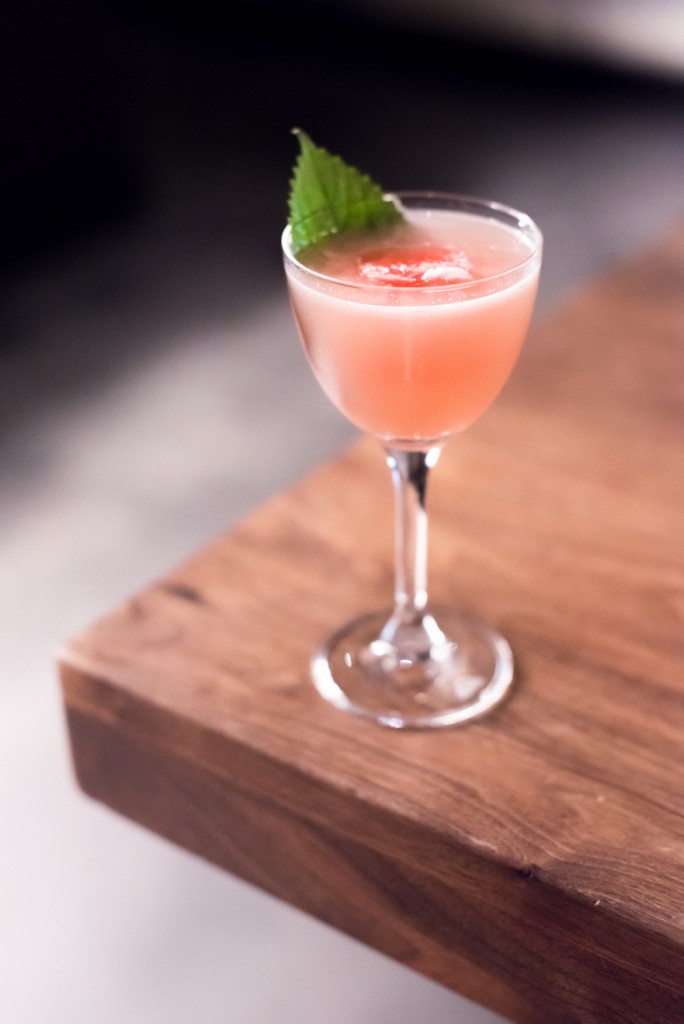 Steven Soderbergh Singani 63 Dinner + Rooibos Rhubarb Cocktail - Craft ...