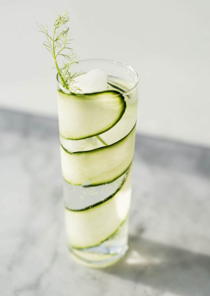 Cucumber Fennel Spanish Gin & Tonic | recipe on craftandcocktails.co ...